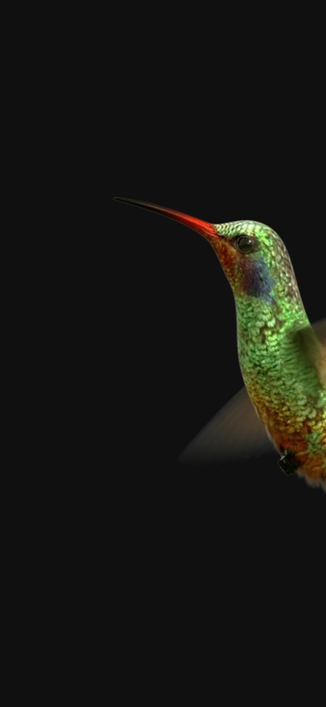 Over Nipper | Nipper