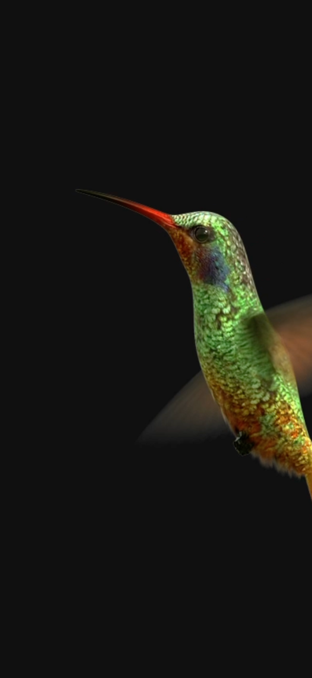 About Nipper | Nipper